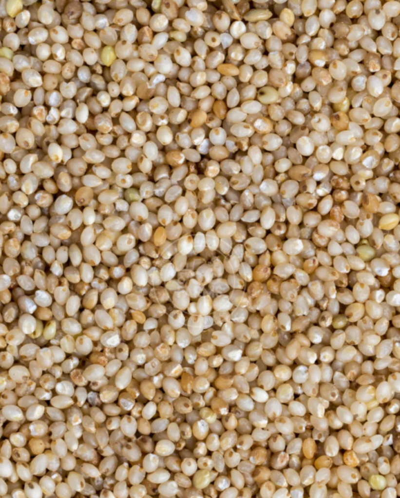 Barnyard Millet | Sama Ke Chawal | Samak Rice – Eat Healthy Store